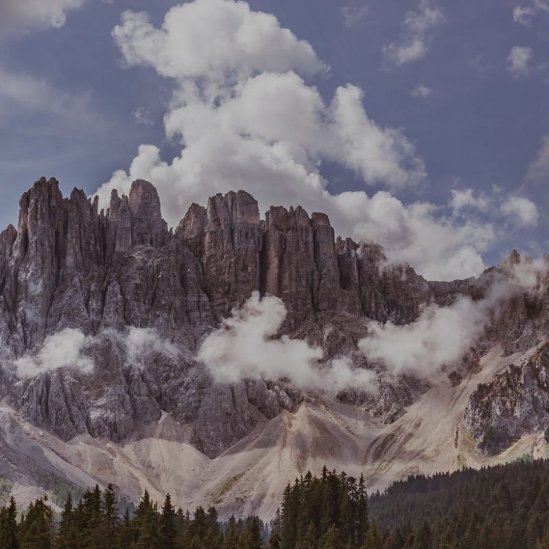 Shopify Polaris Design System - What is Polaris & How to Use Polaris