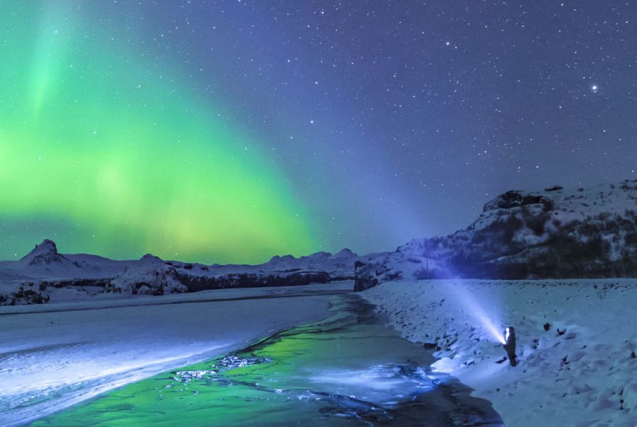 Shopify Polaris Design System - What is Polaris & How to Use Polaris