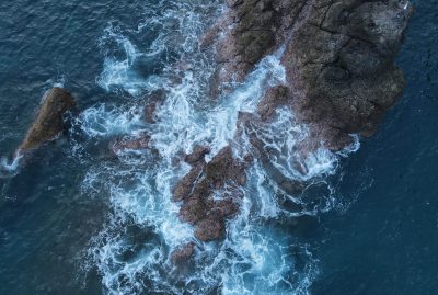 Shopify Polaris Design System - What is Polaris & How to Use Polaris