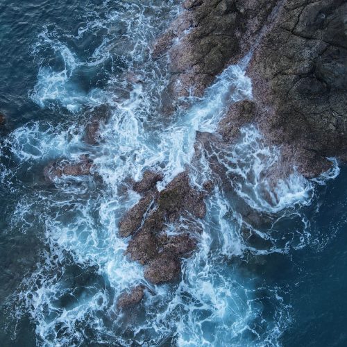 Shopify Polaris Design System - What is Polaris & How to Use Polaris