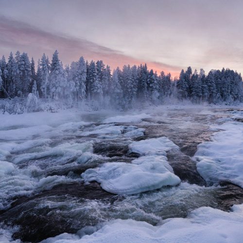 Shopify Polaris Design System - What is Polaris & How to Use Polaris